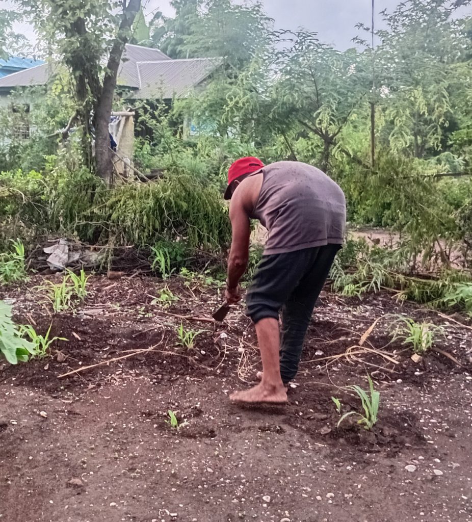 Meningkatkan Produktivitas Petani Ladang Di Kabupaten Lembata: Tradisi ...